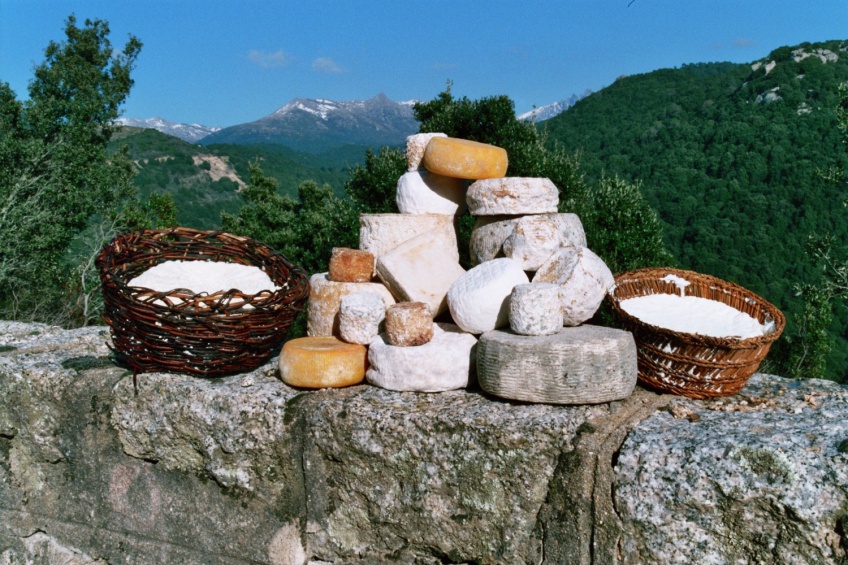 Le fromage fermier – Casgiu Casanu